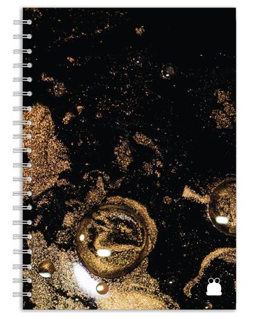 School Diary Planner 2025/2026 - Rock – Focus Education