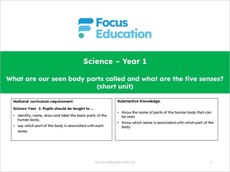 Science Y1: What are our seen body parts called and what are the five ...